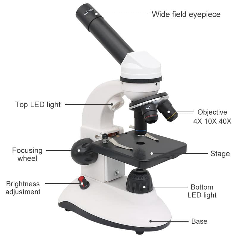 Microscope monoculaire à haute définition – Hobstore.ch